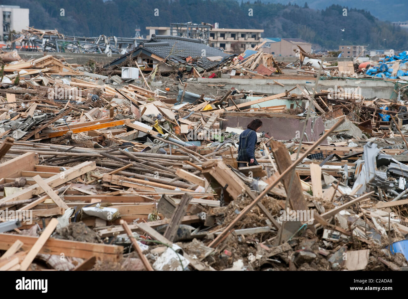 Japanese search and rescue teams search for survivors after thousands ...