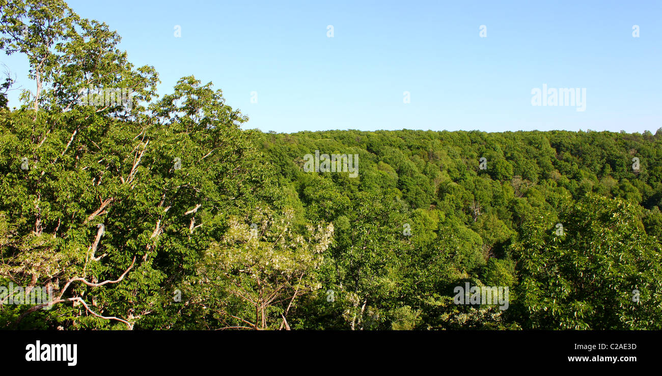 Monte Sano State Park - Alabama Stock Photo - Alamy