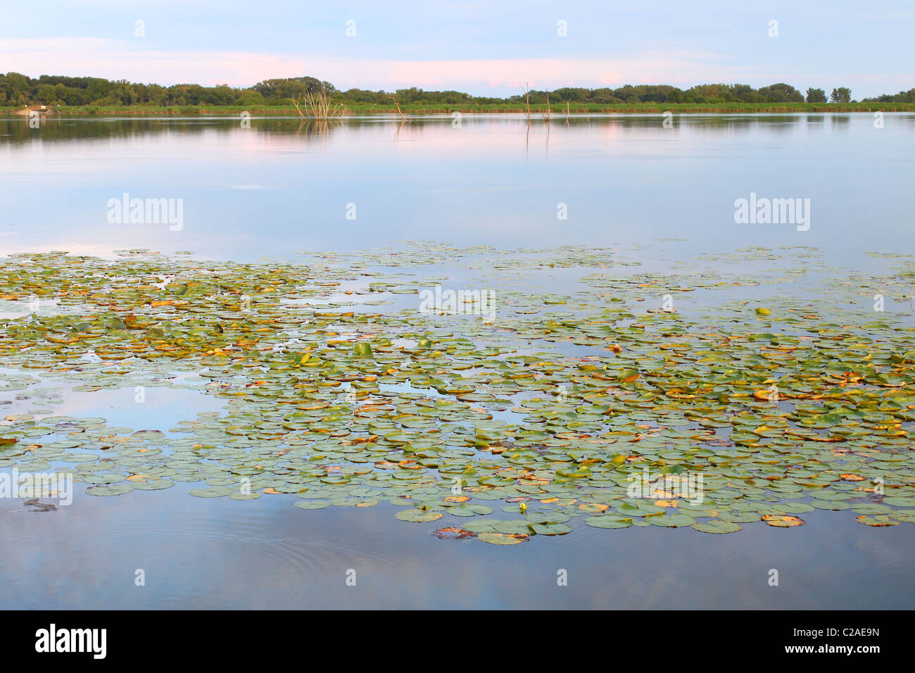 Shabbona Lake - Illinois Stock Photo - Alamy