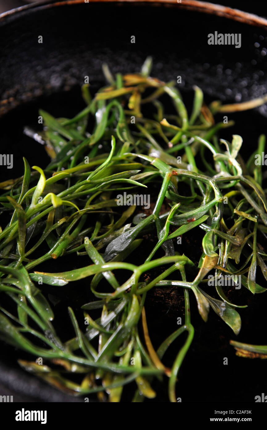 Foraged locally hi-res stock photography and images - Alamy