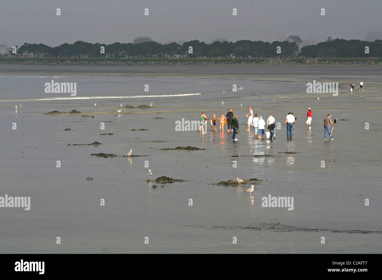 Recreation clamming hi-res stock photography and images - Alamy
