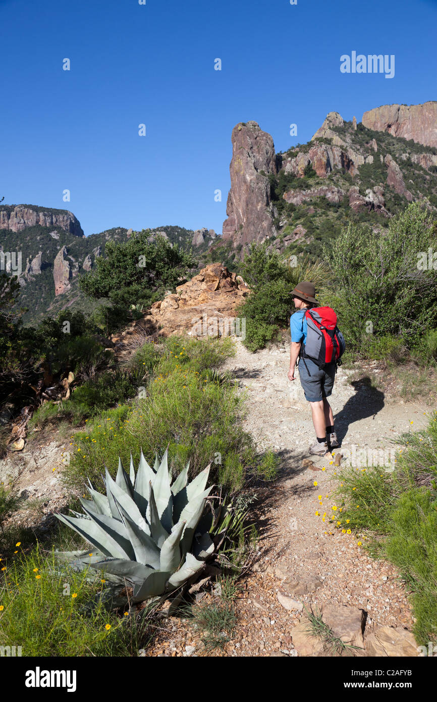 Lost Mine Trail Big Bend National Park High Resolution Stock ...