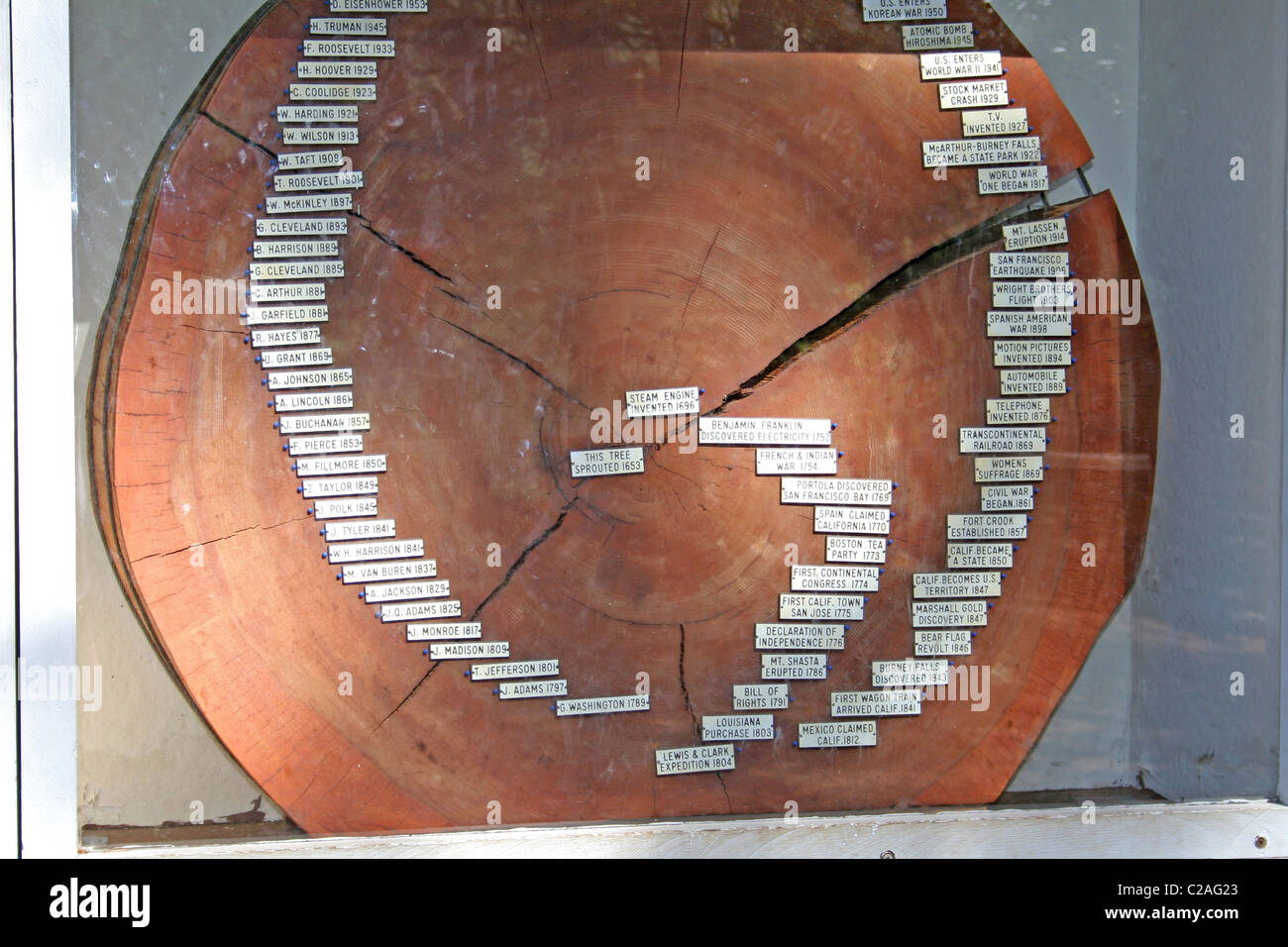 Annotated tree rings hi-res stock photography and images - Alamy