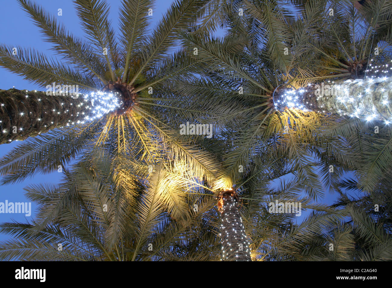 Evening lighting Arizona Center downtown Phoenix Arizona Stock Photo ...