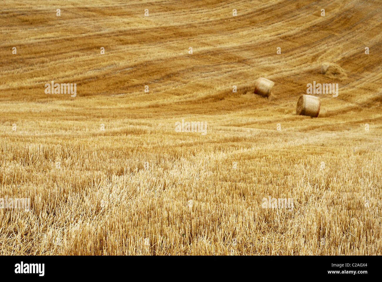 Lines lines of bales hi-res stock photography and images - Alamy