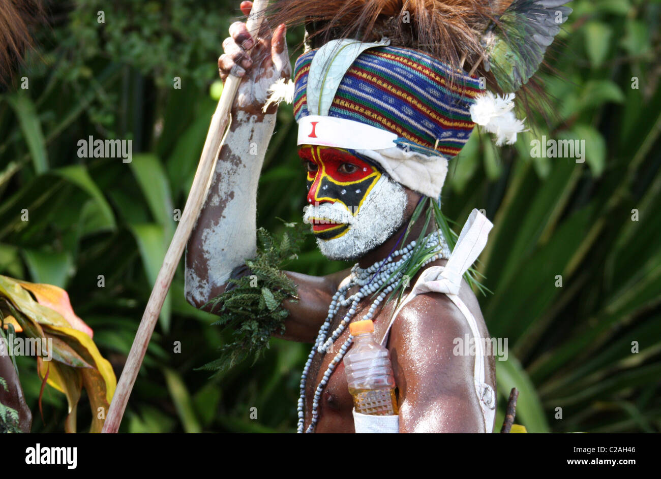 Tribesman of Papua New Guinea Stock Photo - Alamy