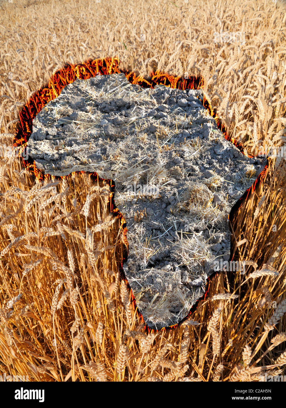 no hope for africa :, dry patch of land in the shape of africa amidst a ...