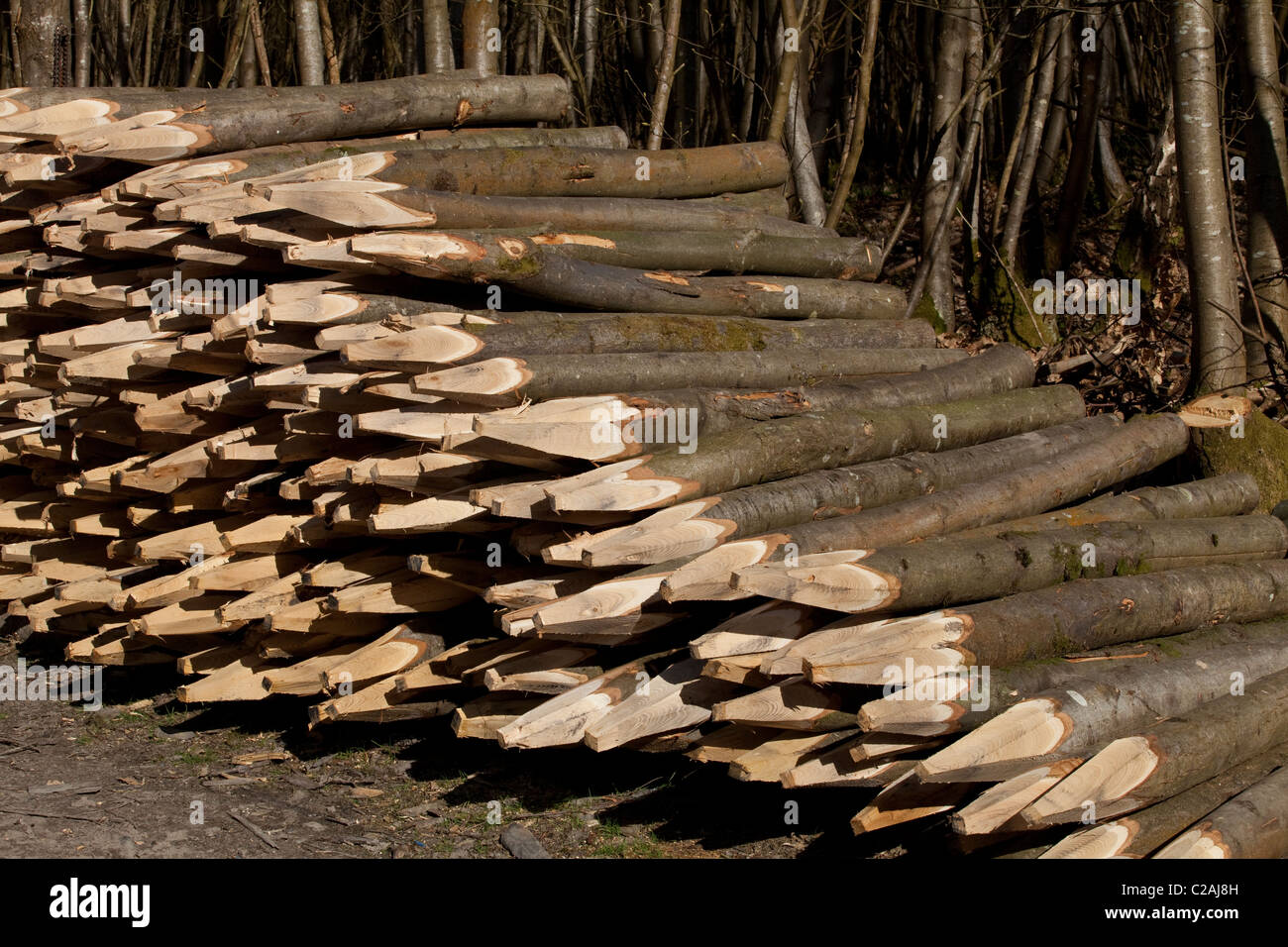 A stack of newly made fence stakes outside a forest Stock Photo - Alamy