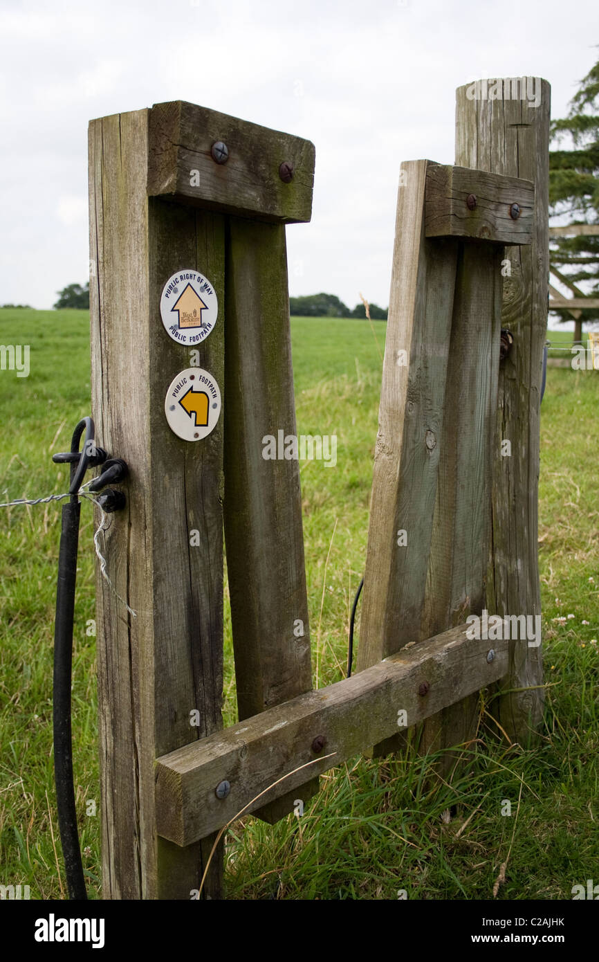 Cattle grazing electric wire hi-res stock photography and images - Alamy