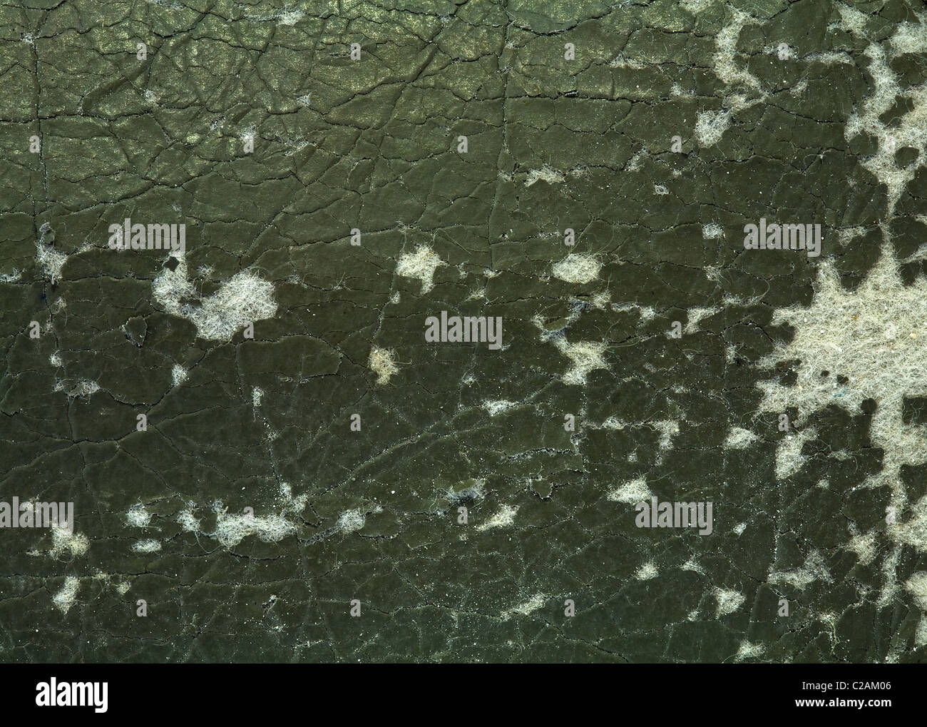 Old scratched leather texture hi-res stock photography and images - Alamy