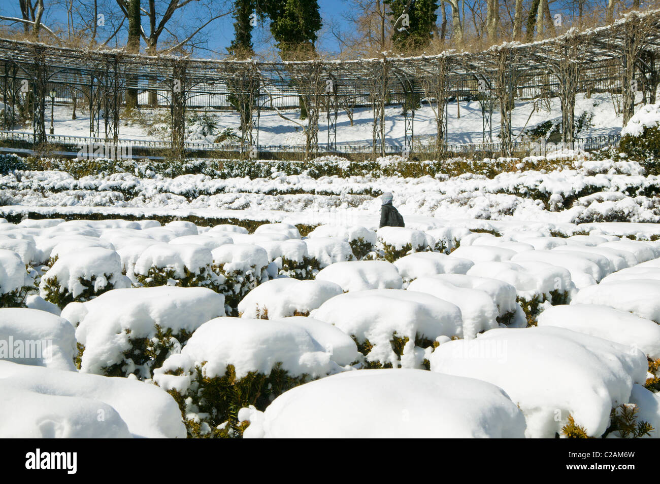 Hedges winter garden hi-res stock photography and images - Alamy