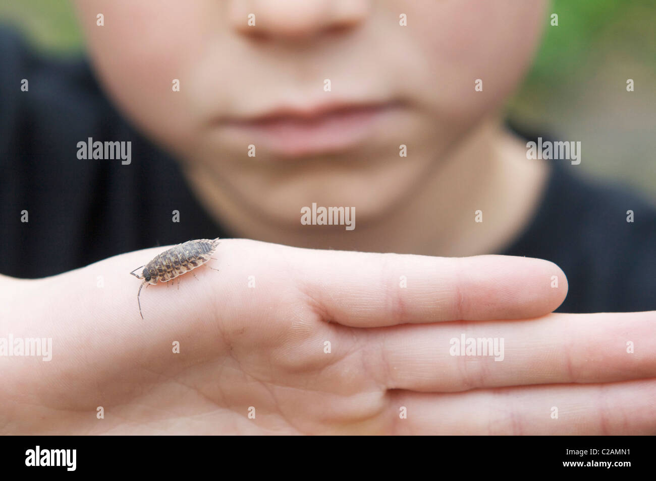 Child and bug hi-res stock photography and images - Alamy