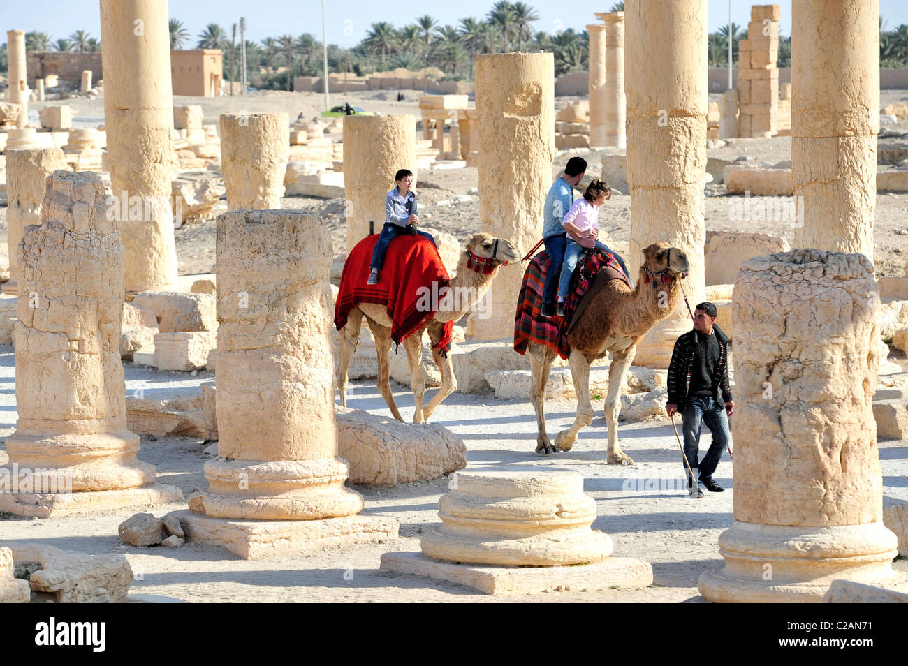 Camel in roman ruins palmyra hi-res stock photography and images - Alamy