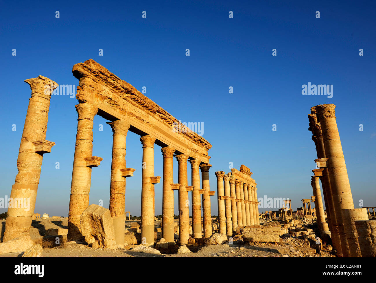 Roman ruins during sunset in Palmyra, Syria on March 4, 2011 ...
