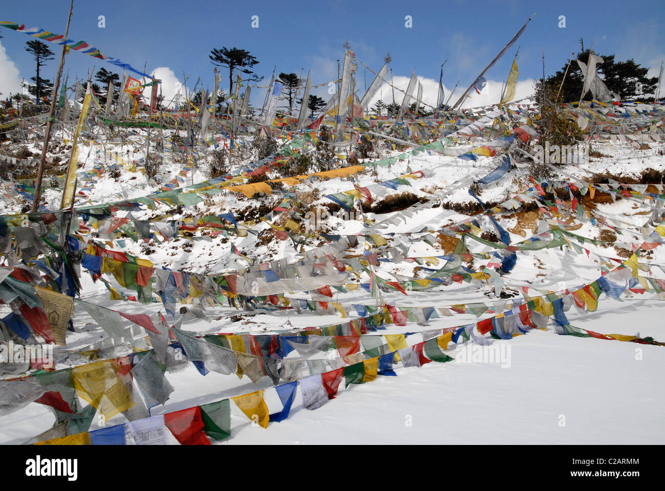 Prayer flags in the snow at Thrumshingla Pass, the border between ...