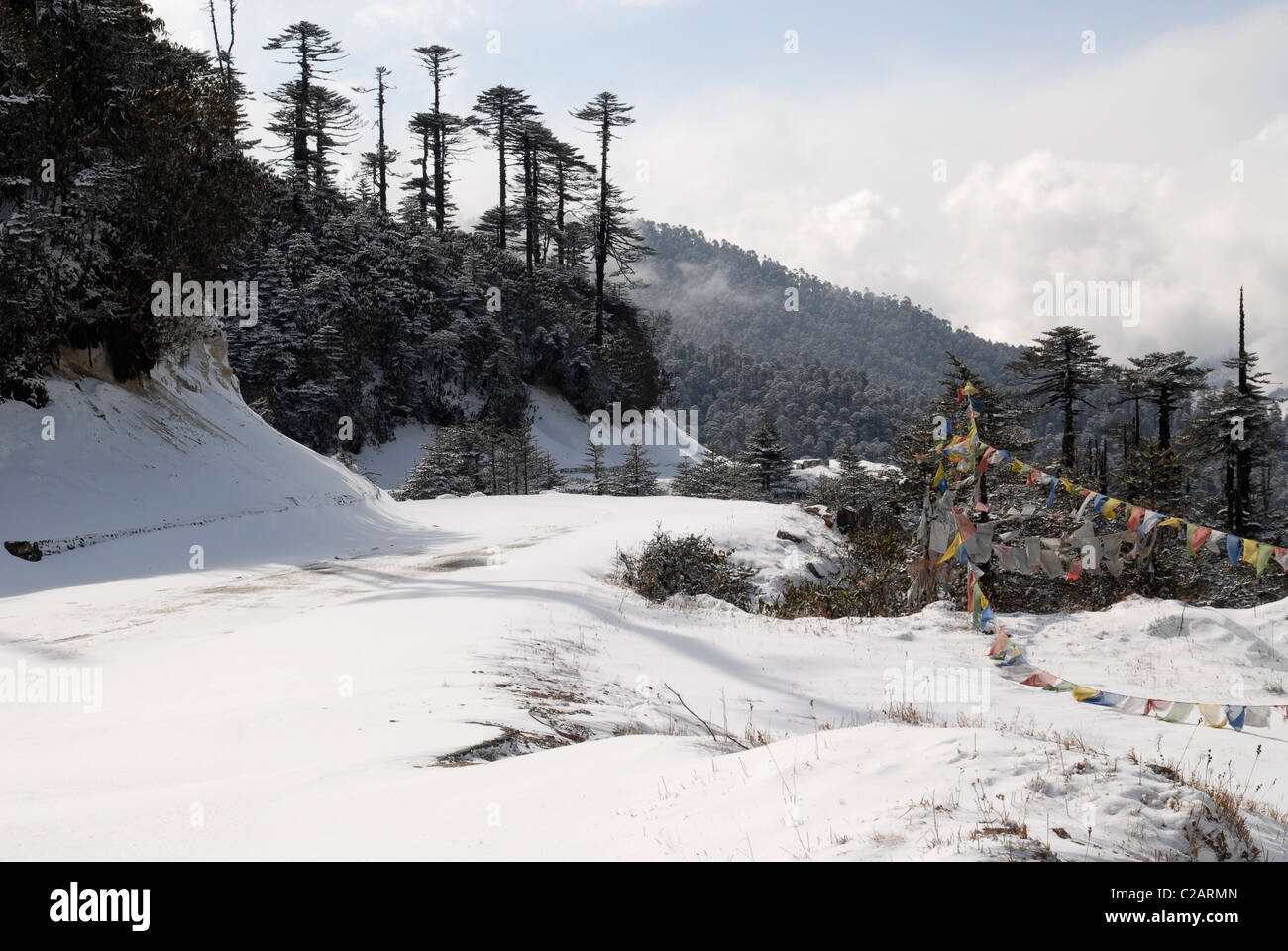Bhutan himalaya snow hi-res stock photography and images - Alamy