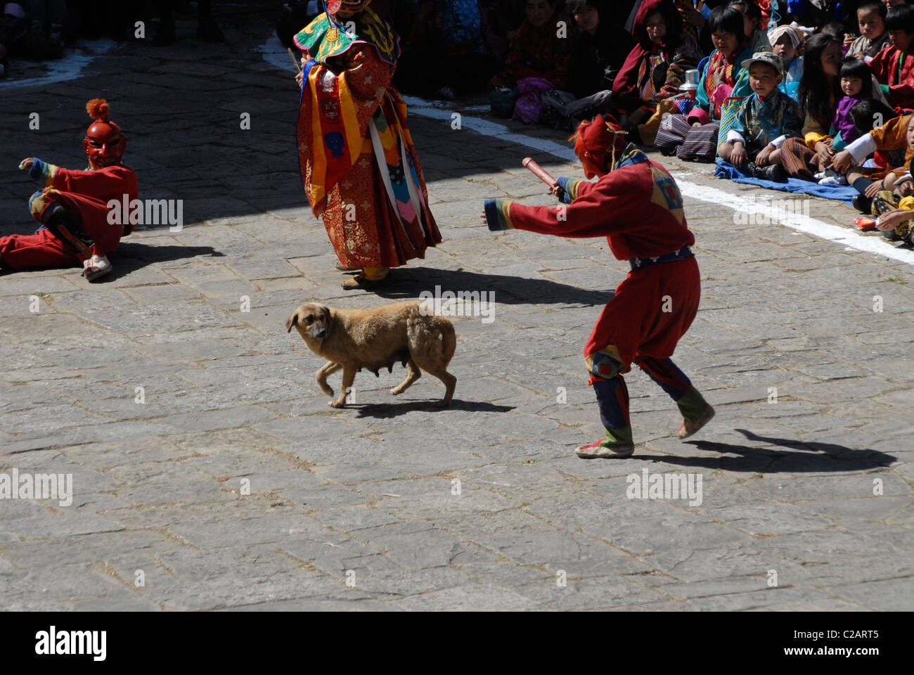 Dog clown hi-res stock photography and images - Alamy