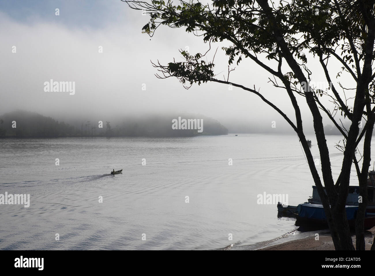South America, Amazon, fog over rainforest along river Stock Photo - Alamy
