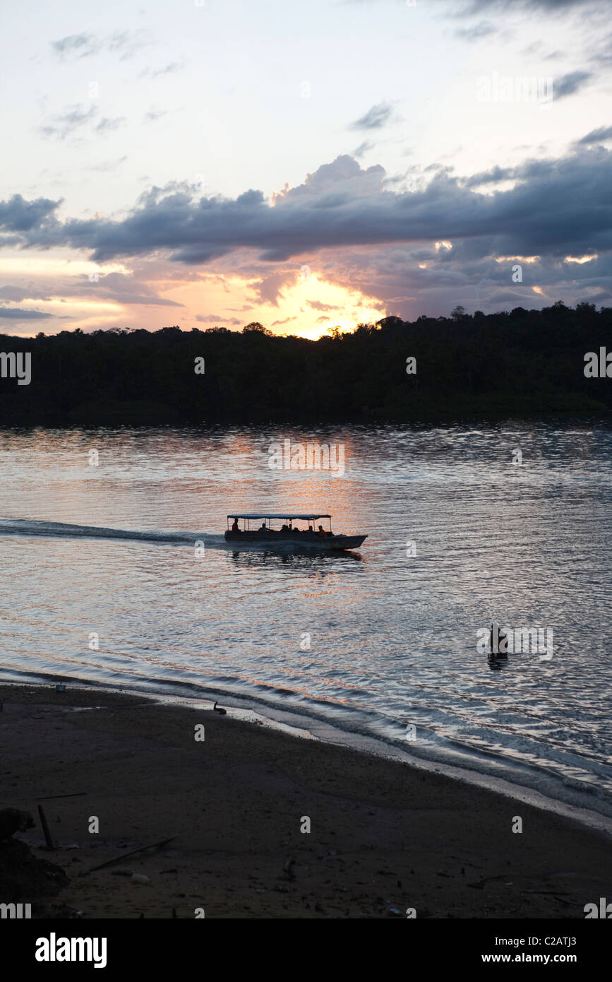South America, Amazon, sun setting behind rainforest Stock Photo - Alamy