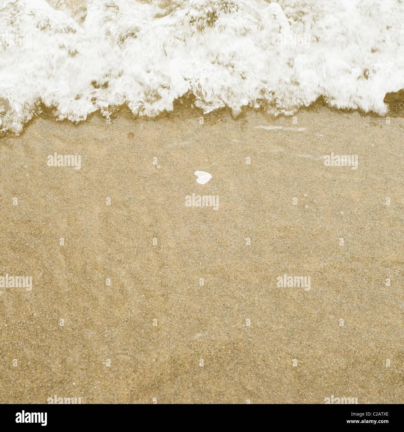 Heart shaped shell on beach Stock Photo - Alamy