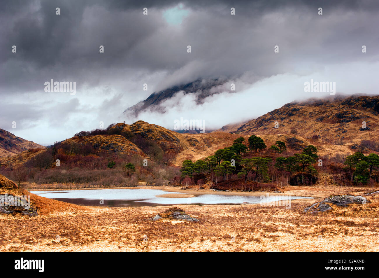 The head of Loch Shiel Stock Photo - Alamy