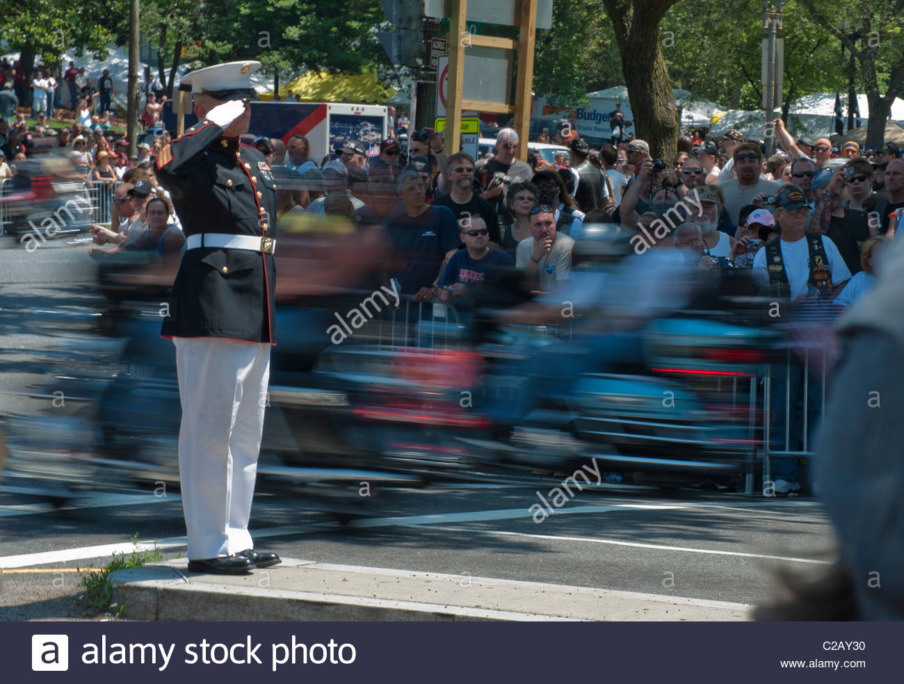 Salute Soldier High Resolution Stock Photography and Images - Alamy