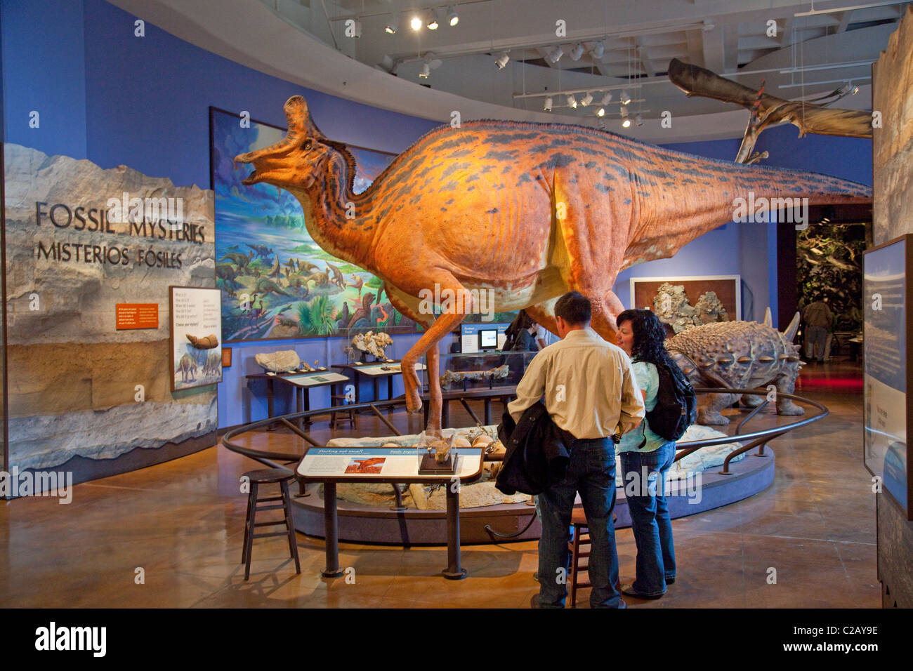 San Diego Natural History museum Duck billed dinosaur Stock Photo - Alamy