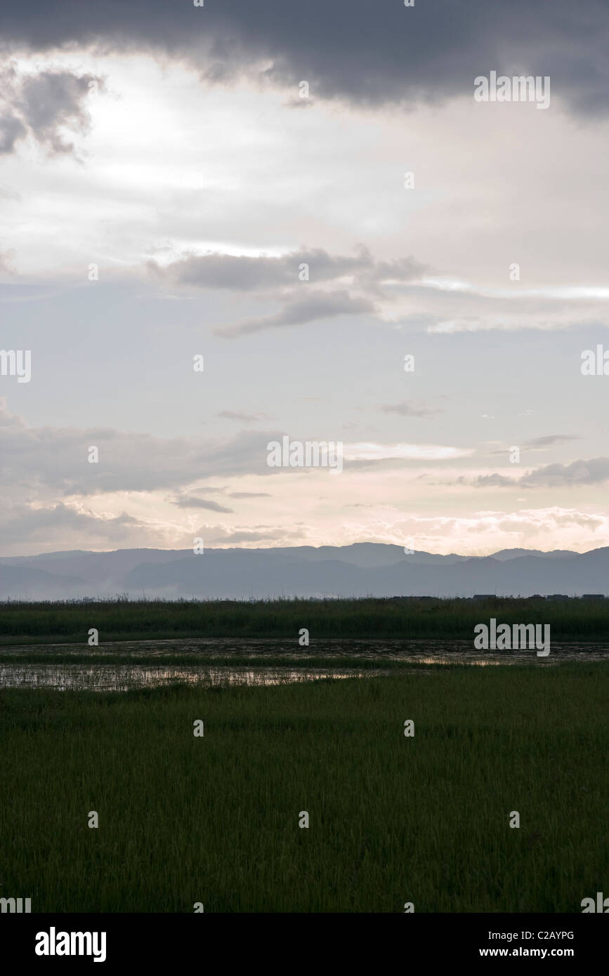 Meadow by Inle Lake, Myanmar Stock Photo - Alamy