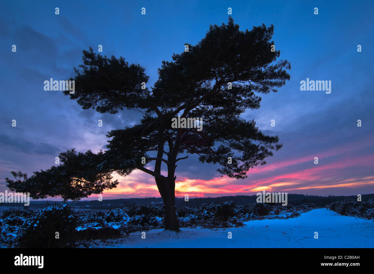 Night snow storm park hi-res stock photography and images - Alamy