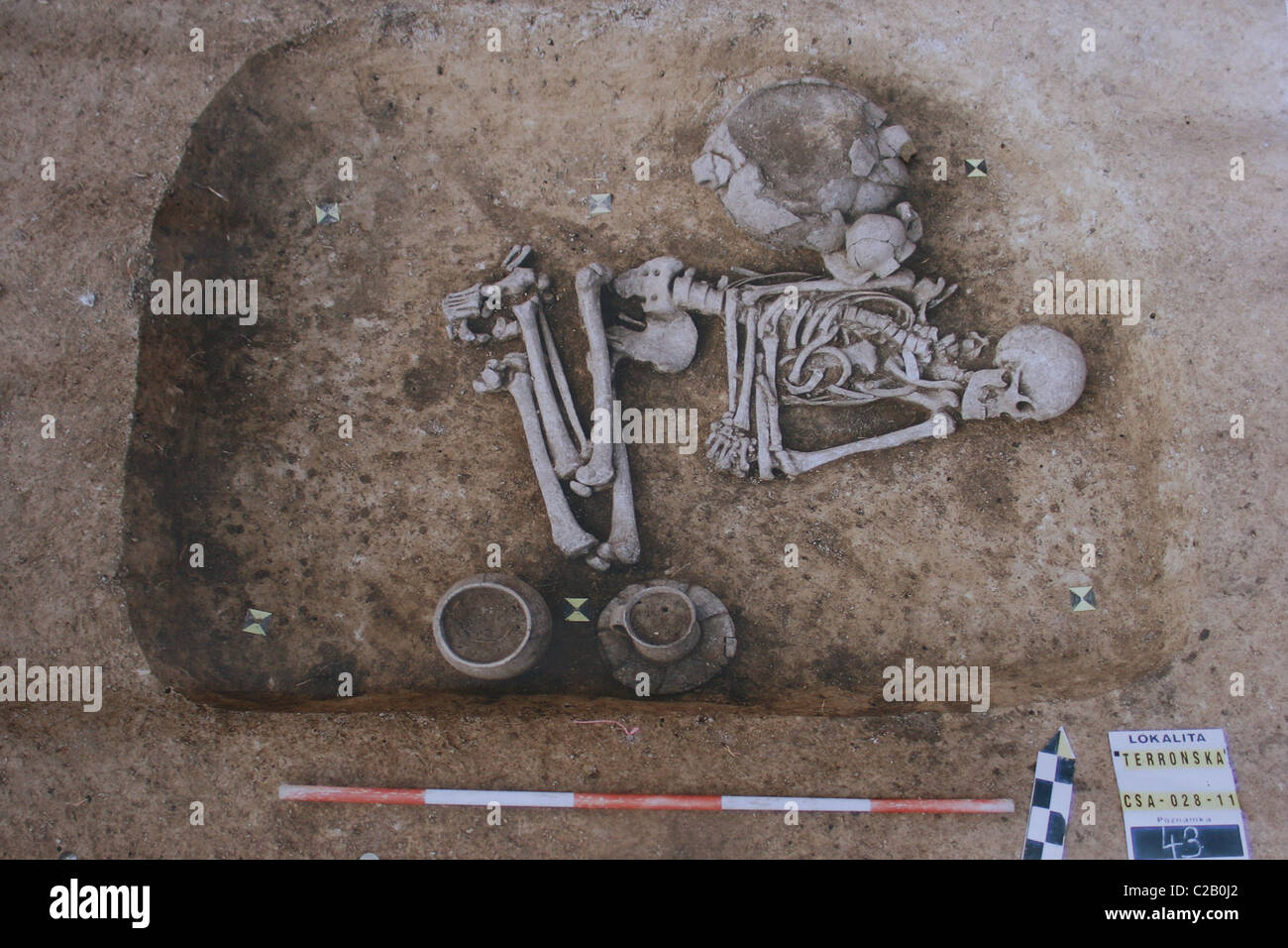 Photograph of a skeleton at the burial site of a Stone Age transsexual ...