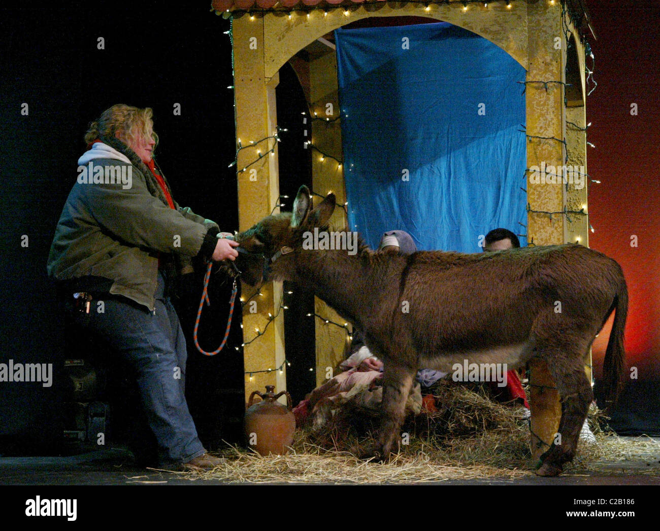 Struggling to remove the donkey from the stage, Fiesta de los Reyes ...