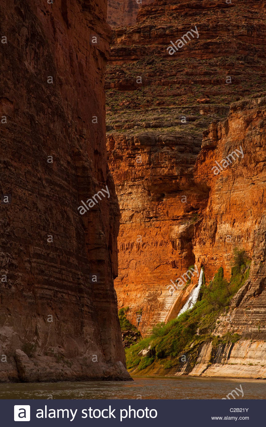 The Colorado River passing through Marble Canyon at Vasey's Paradise Stock Photo - Alamy
