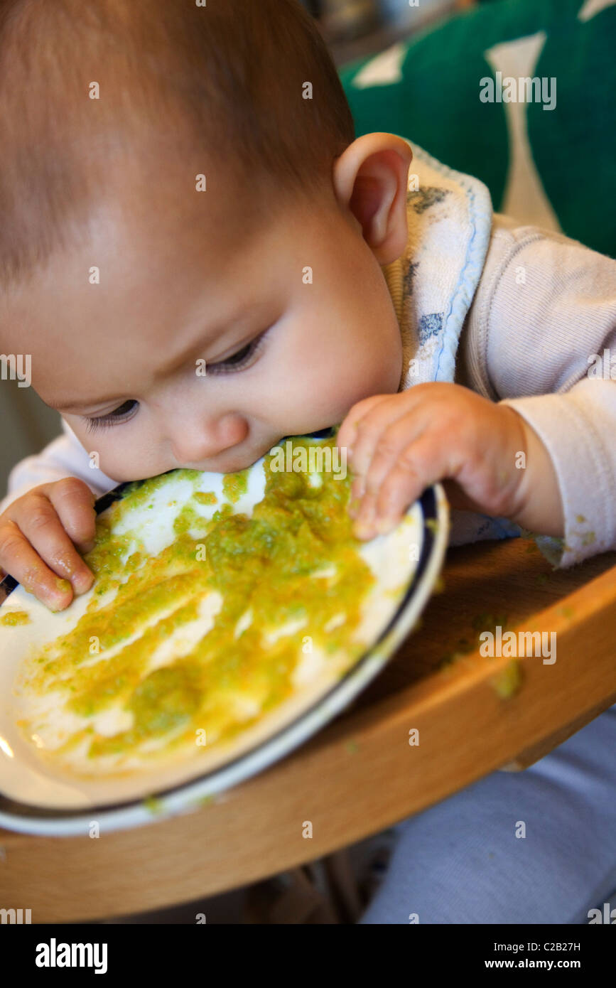 Baby girl chewing on plate of food Stock Photo - Alamy