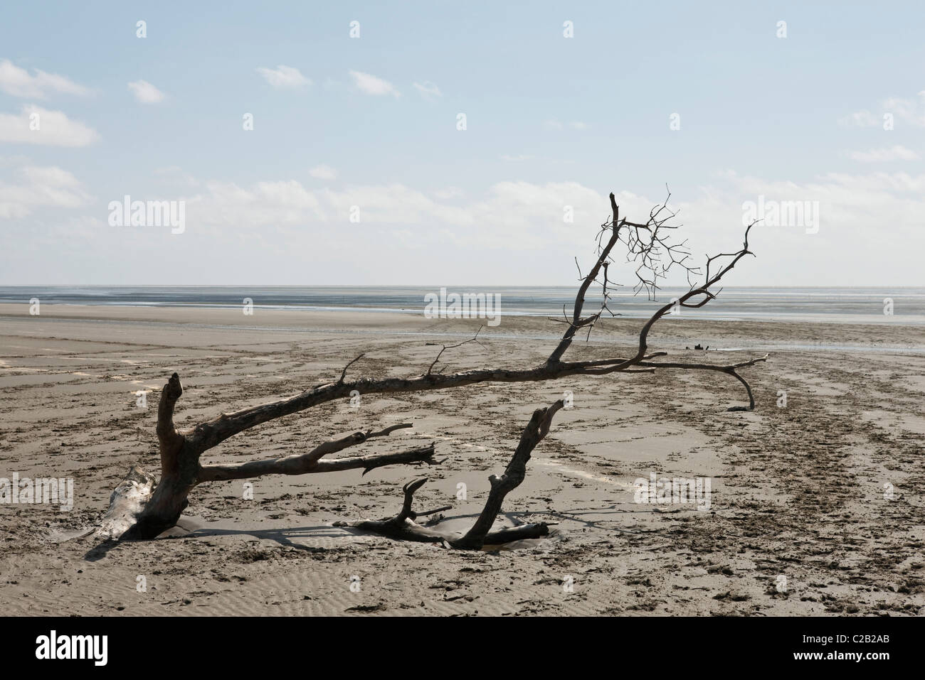 Driftwood hi-res stock photography and images - Alamy