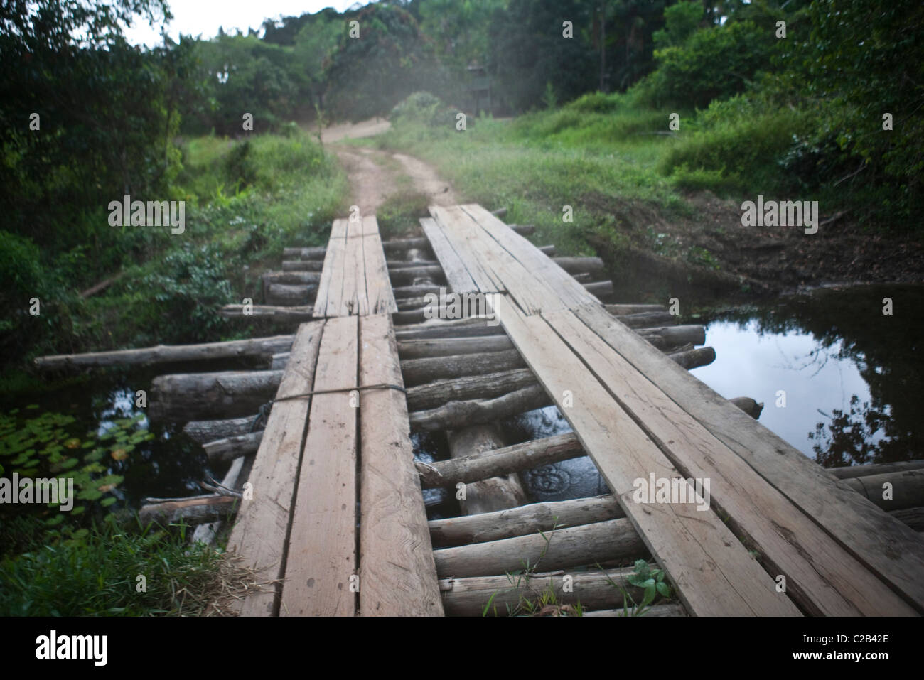 Rudimentary bridge crossing stream, Amazon, South America Stock Photo ...
