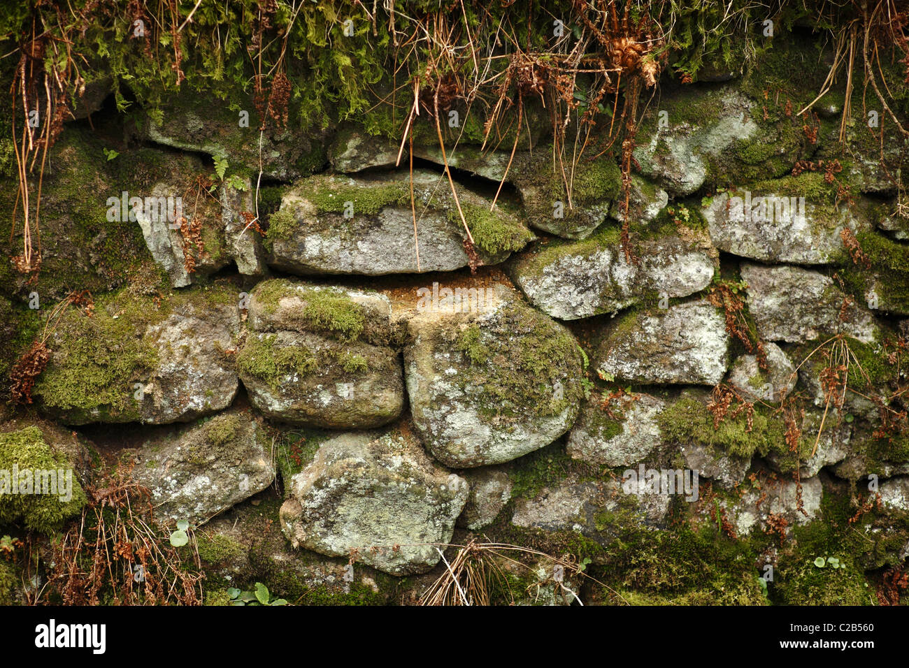 Dry stone wall on Dartmoor, Devon, UK Stock Photo - Alamy
