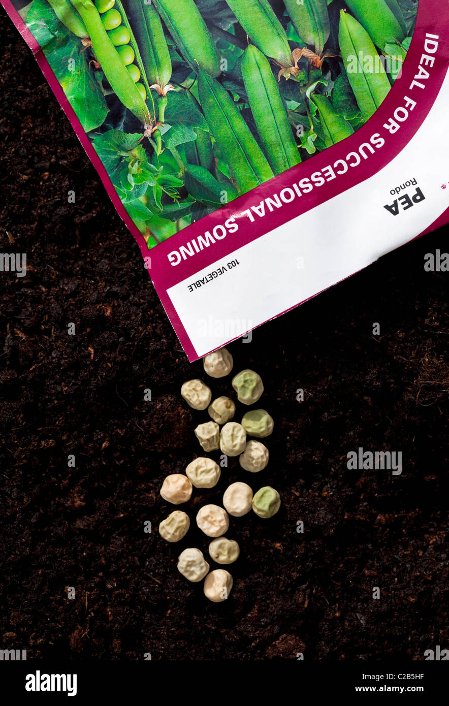 Seed packet and pea seeds on compost soil ready for sowing Stock Photo ...