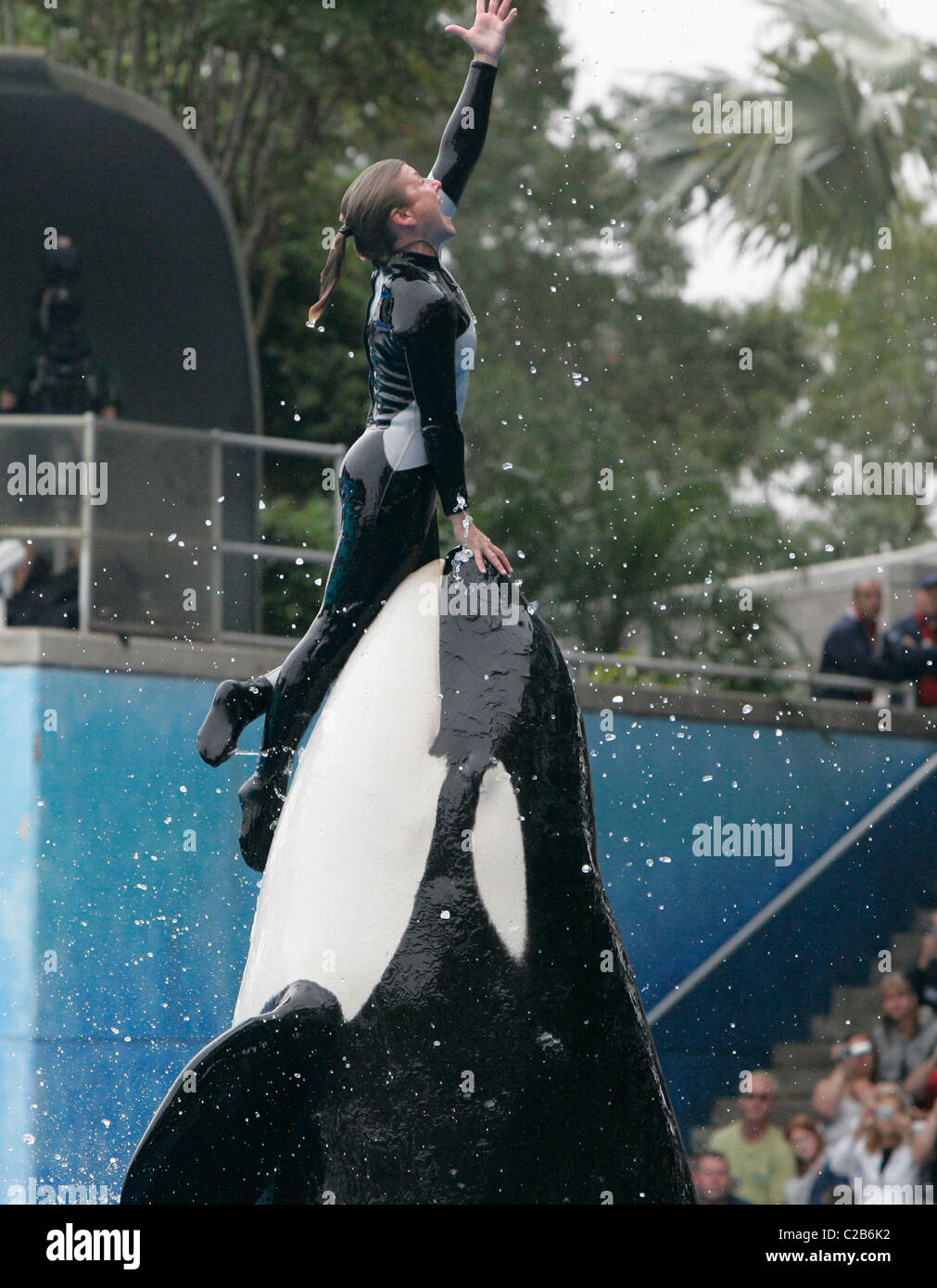 Dawn Brancheau and The Killer Whale performing tricks at Seaworld ...