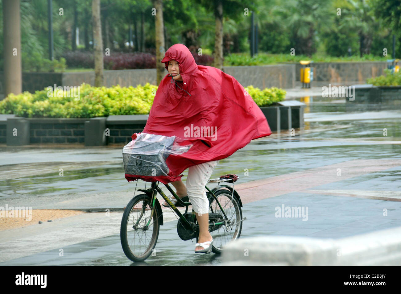 A woman rides bicycle in the rain caused by Typhoon Kestana in Haikou ...