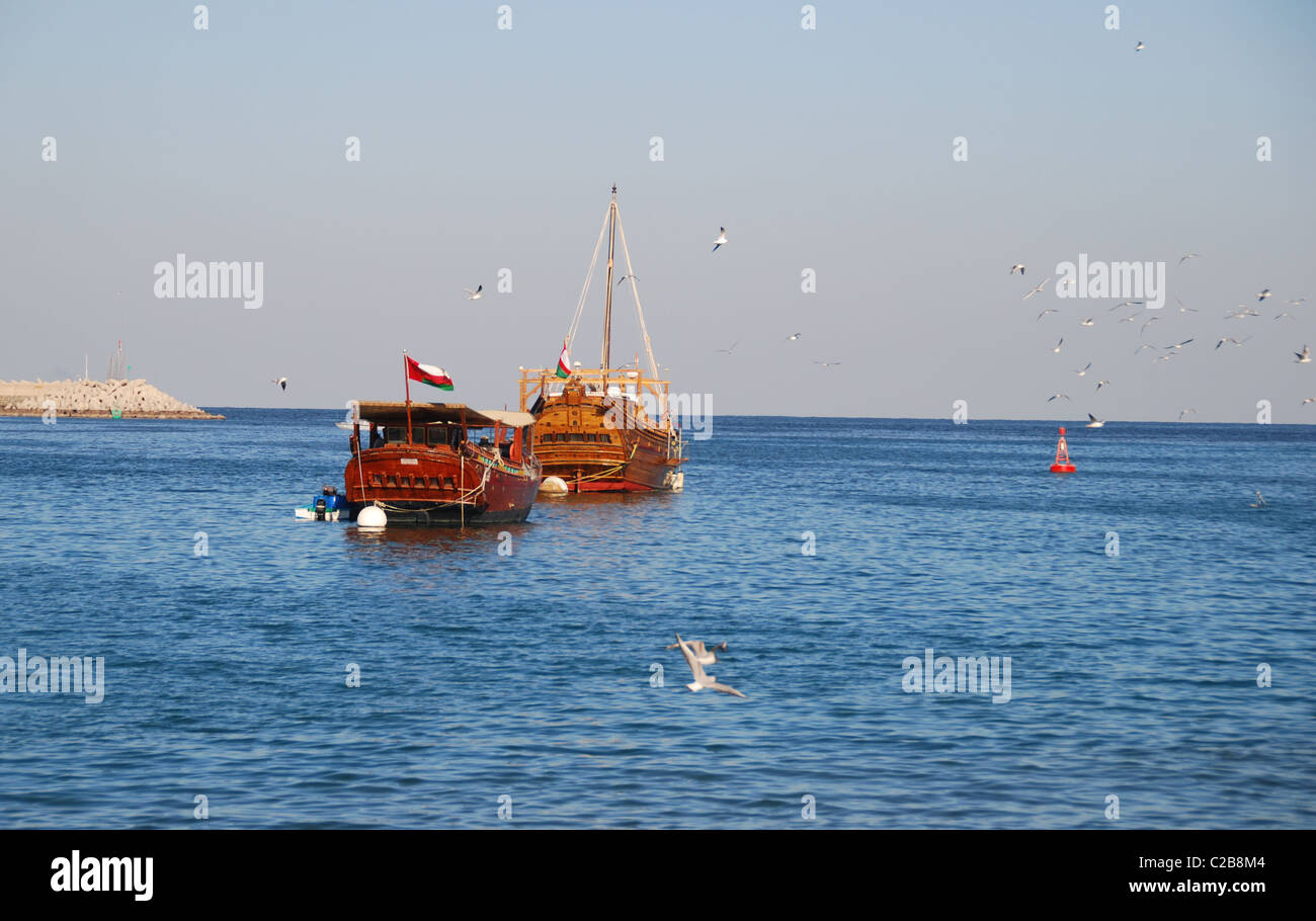 Oman, Muscat, birds fluttering around nautical vessels sailing at the ...