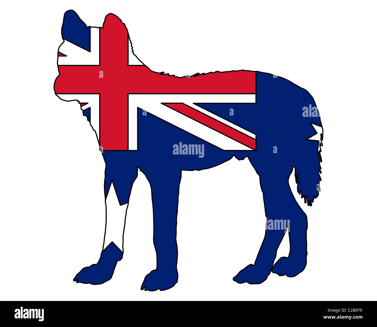 Dingo sign Cut Out Stock Images & Pictures - Alamy