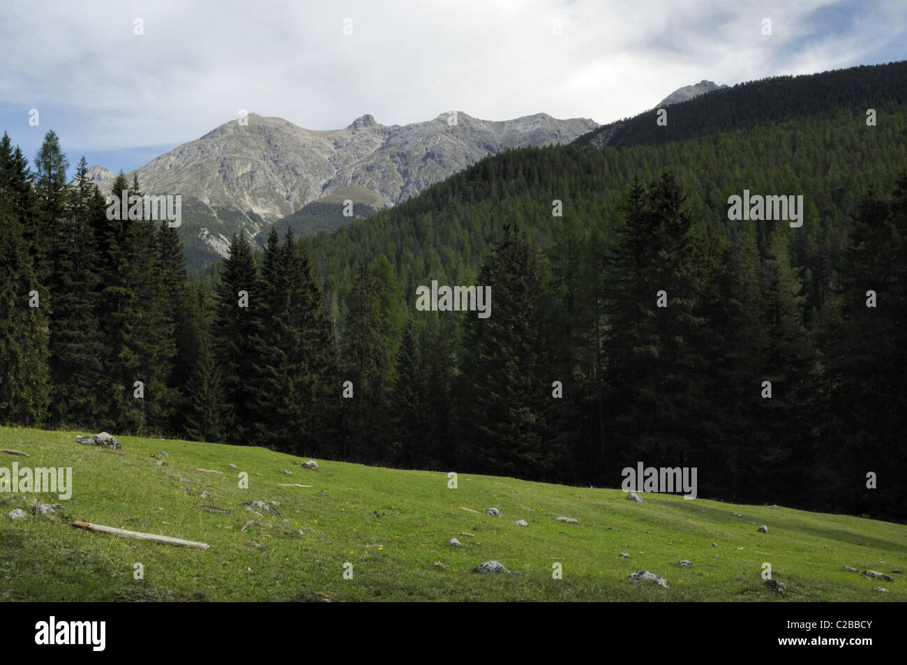 Swiss national park hi-res stock photography and images - Alamy