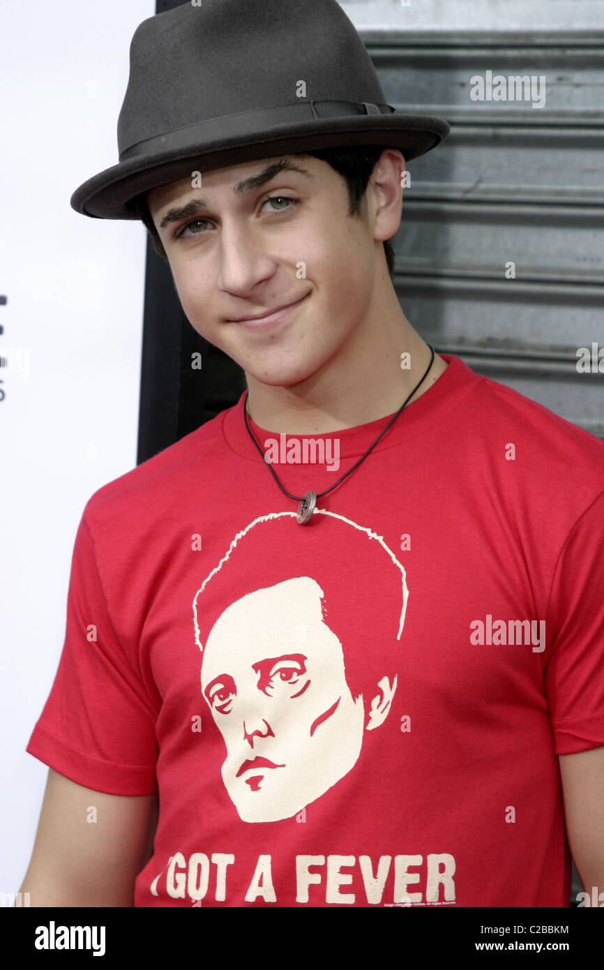 David Henrie Los Angeles Premiere of 'Balls of Fury' held at the ...