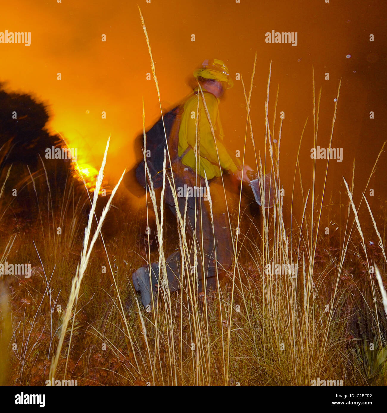A fire fighter tries to control the fire at the burning woods in the ...