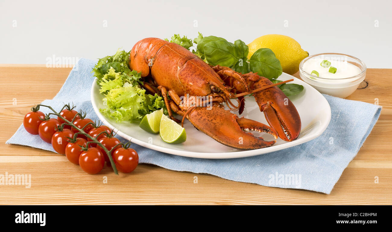 Lobster and fresh vegetable garnish - still life Stock Photo - Alamy