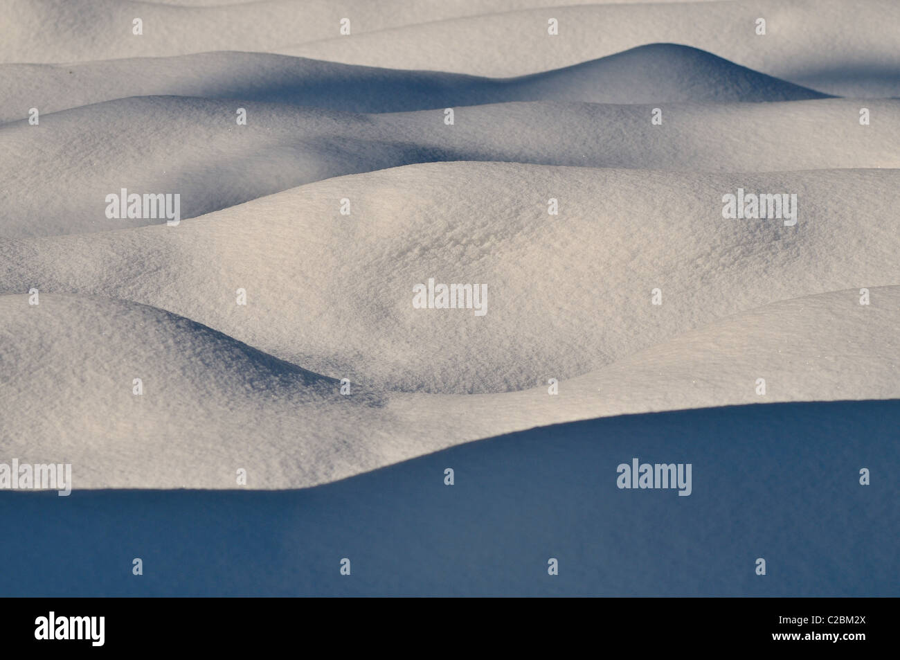 Shadow forms hi-res stock photography and images - Alamy