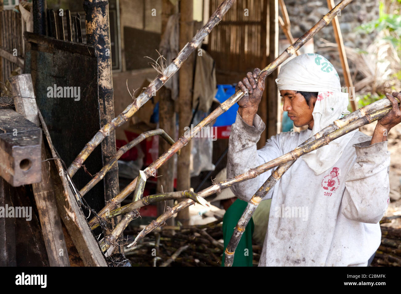 A Filipino worker processing sugarcane through a press at a sugar mill ...