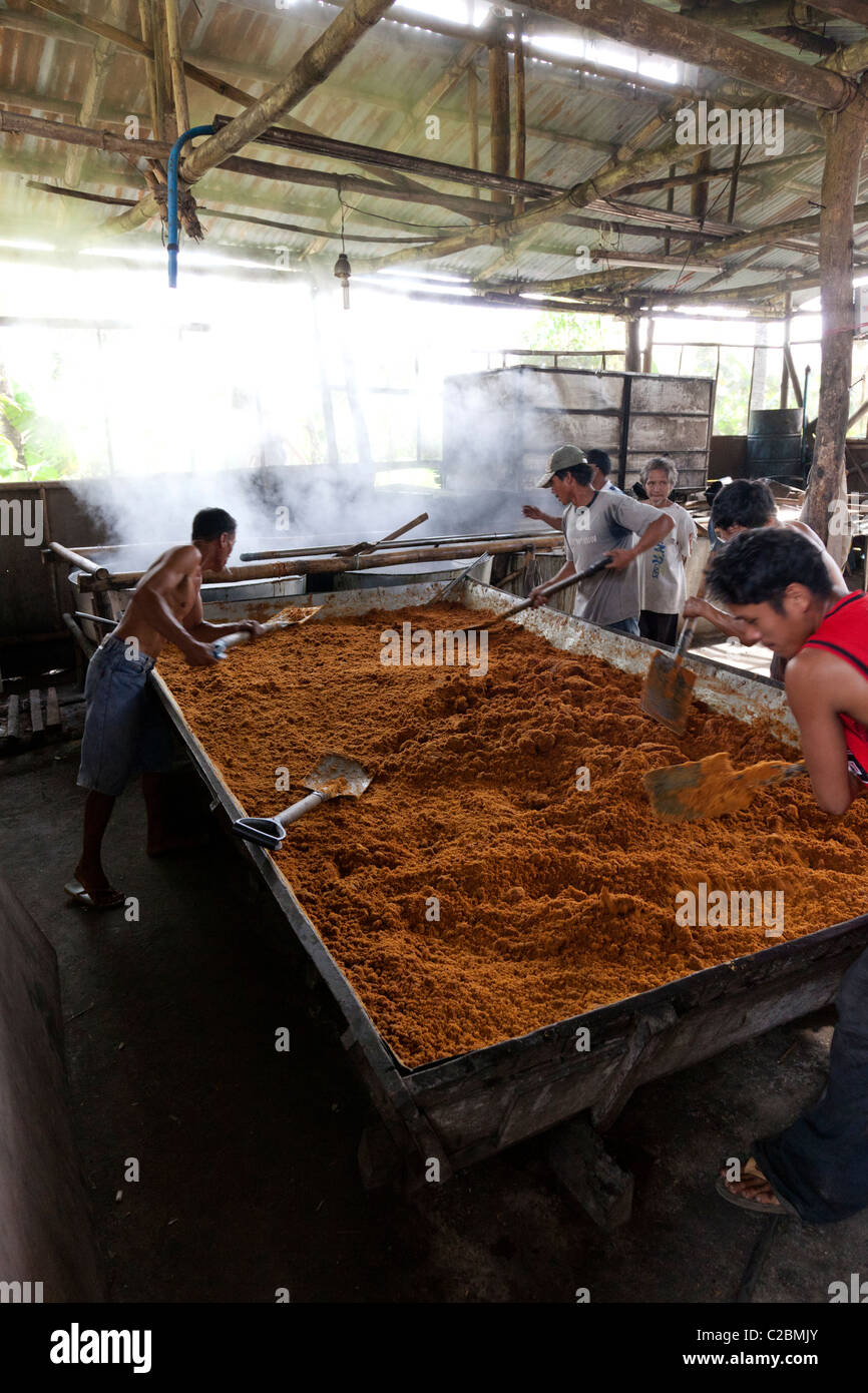 Filipino workers processing Muscovado Sugar at a sugar mill. The ...