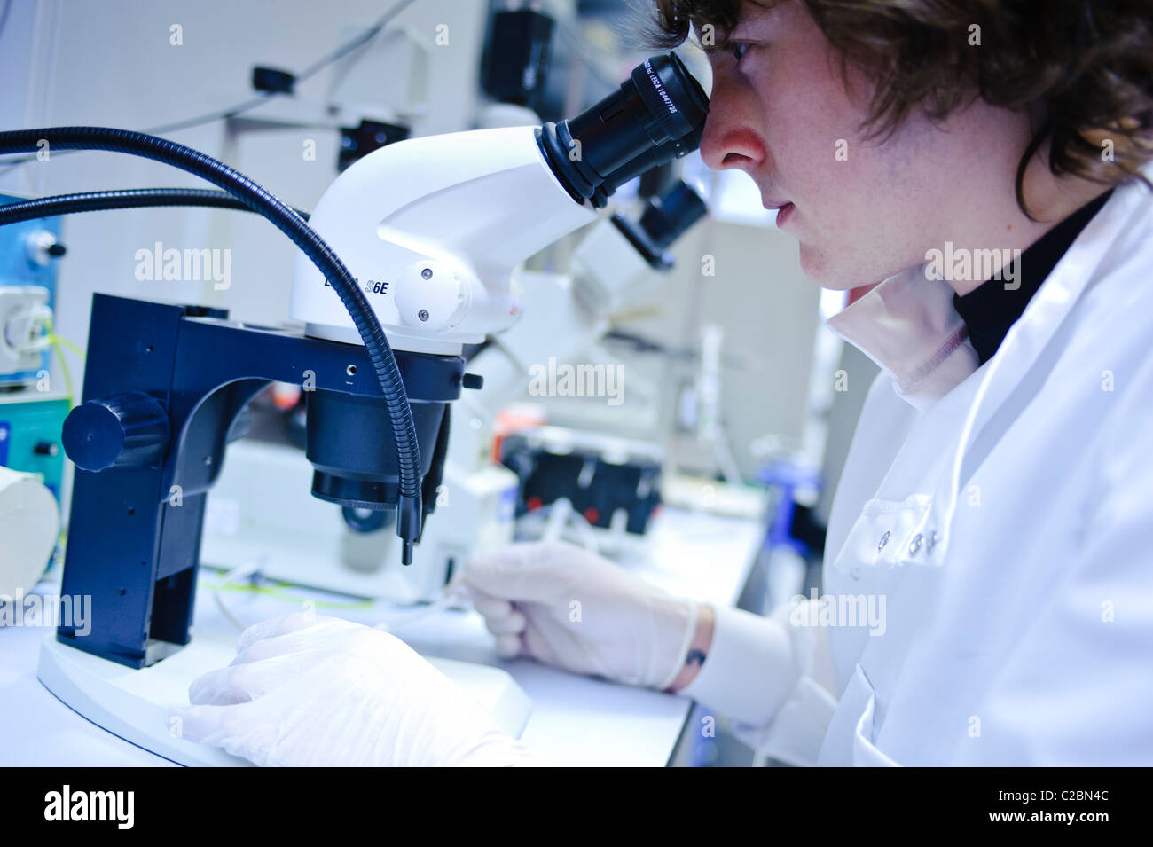 Young male scientist wearing white lab coat looking down microscope in ...