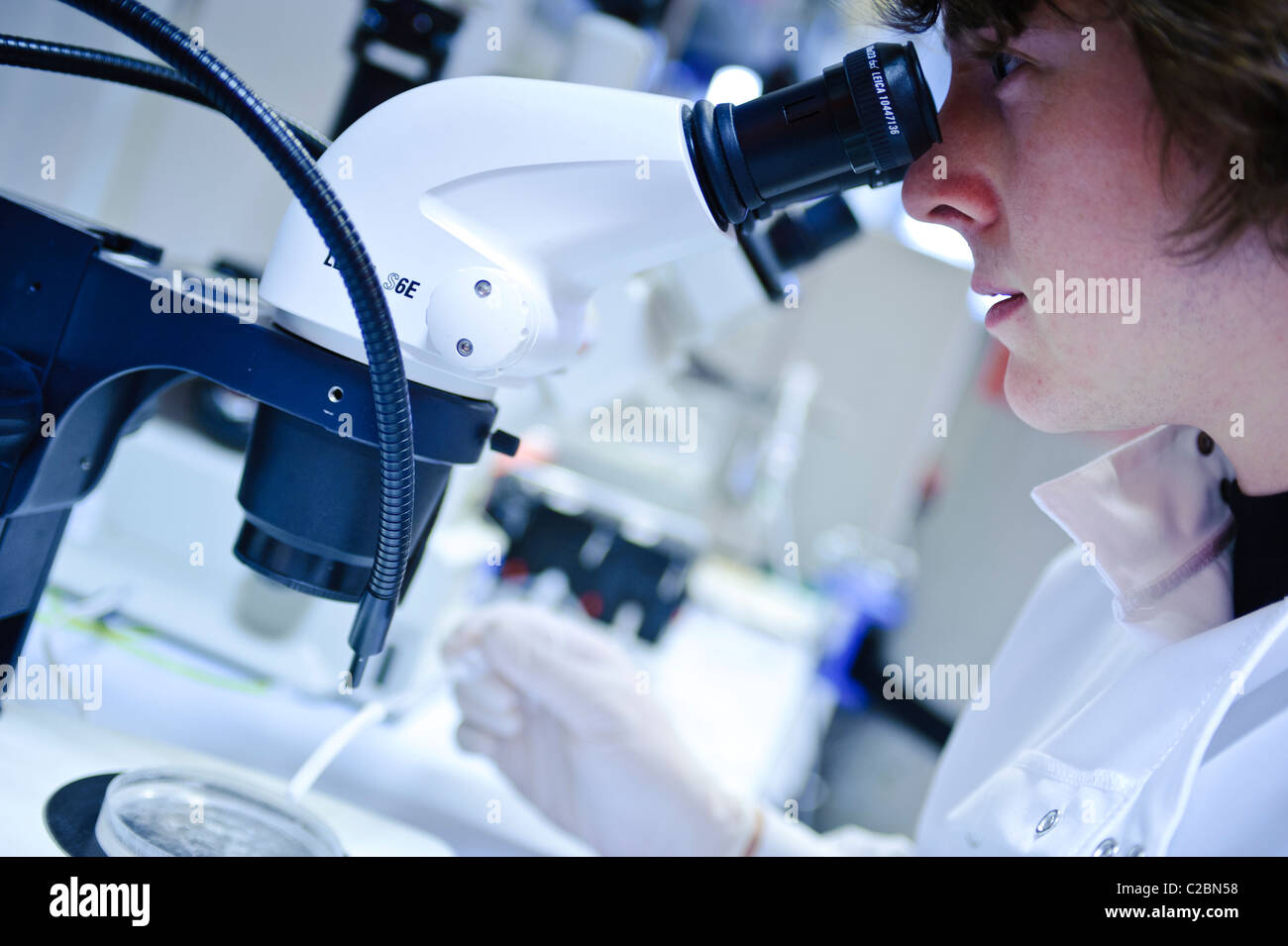 Young male scientist wearing white lab coat looking down microscope in ...